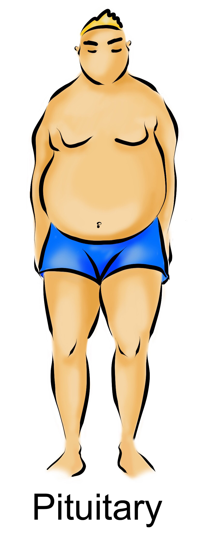 Pituitary Body Type